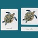 Sea Turtle Life Cycle, Kindergarten Educational Game, Marine Life ...