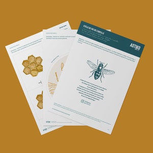 Life Cycle of the Bee PDF, Montessori Nomenclature Cards, Printable ...