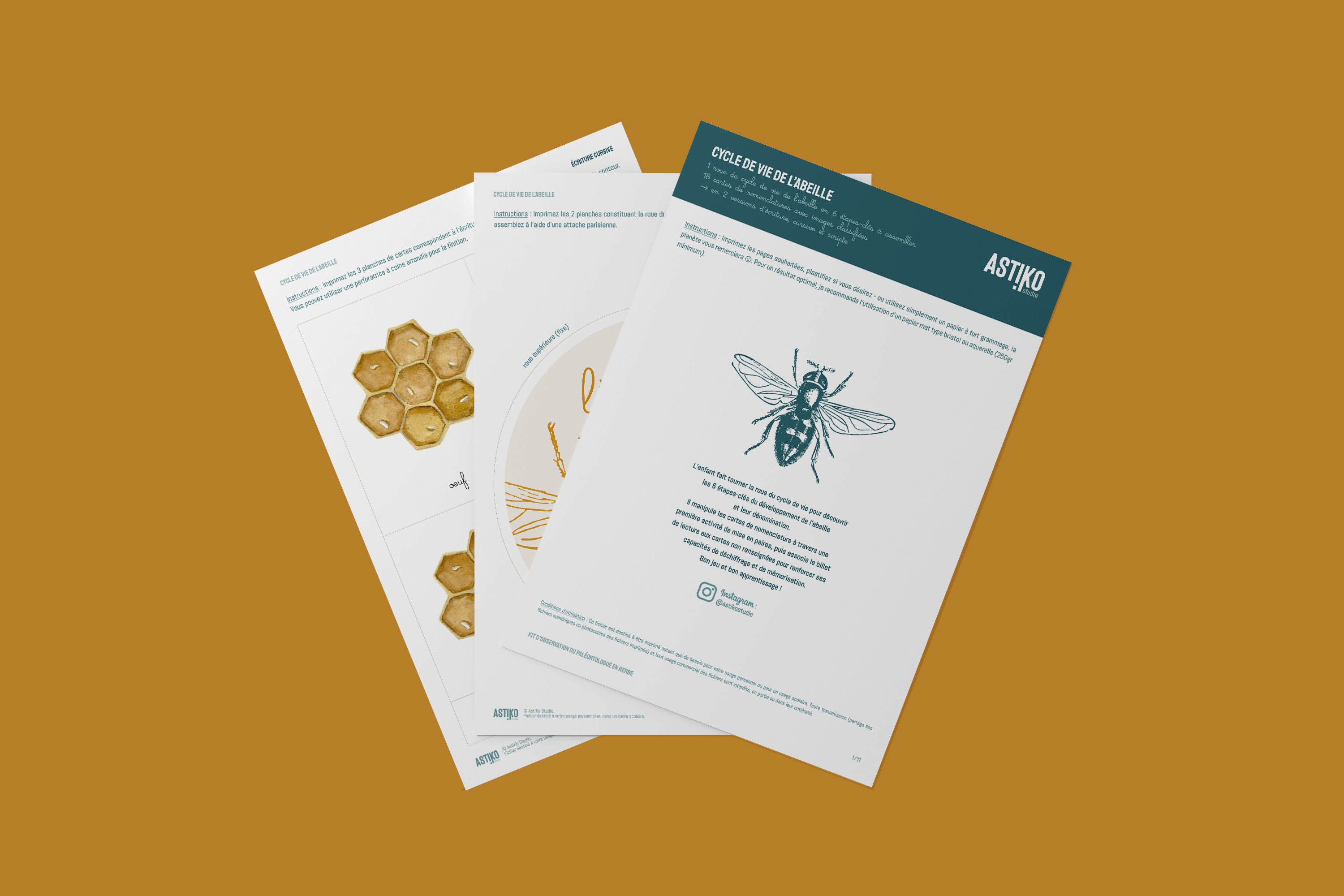 Life Cycle of the Bee PDF, Montessori Nomenclature Cards, Printable ...