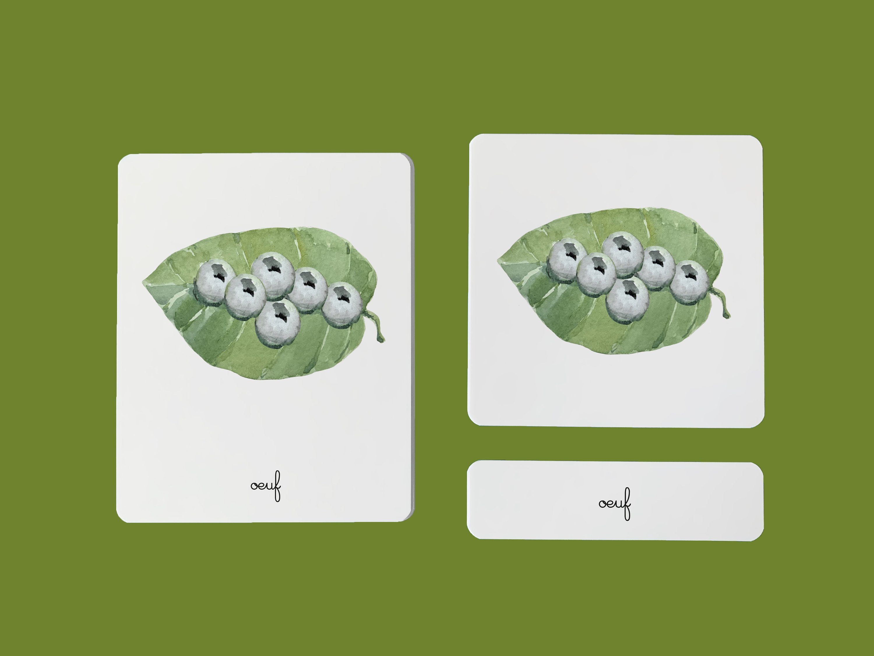 Butterfly Life Cycle, Kindergarten Educational Game, Insect ...