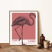Flamingo Decor, Lesser Flamingo Print, Pink Nursery Printable, Safari ...