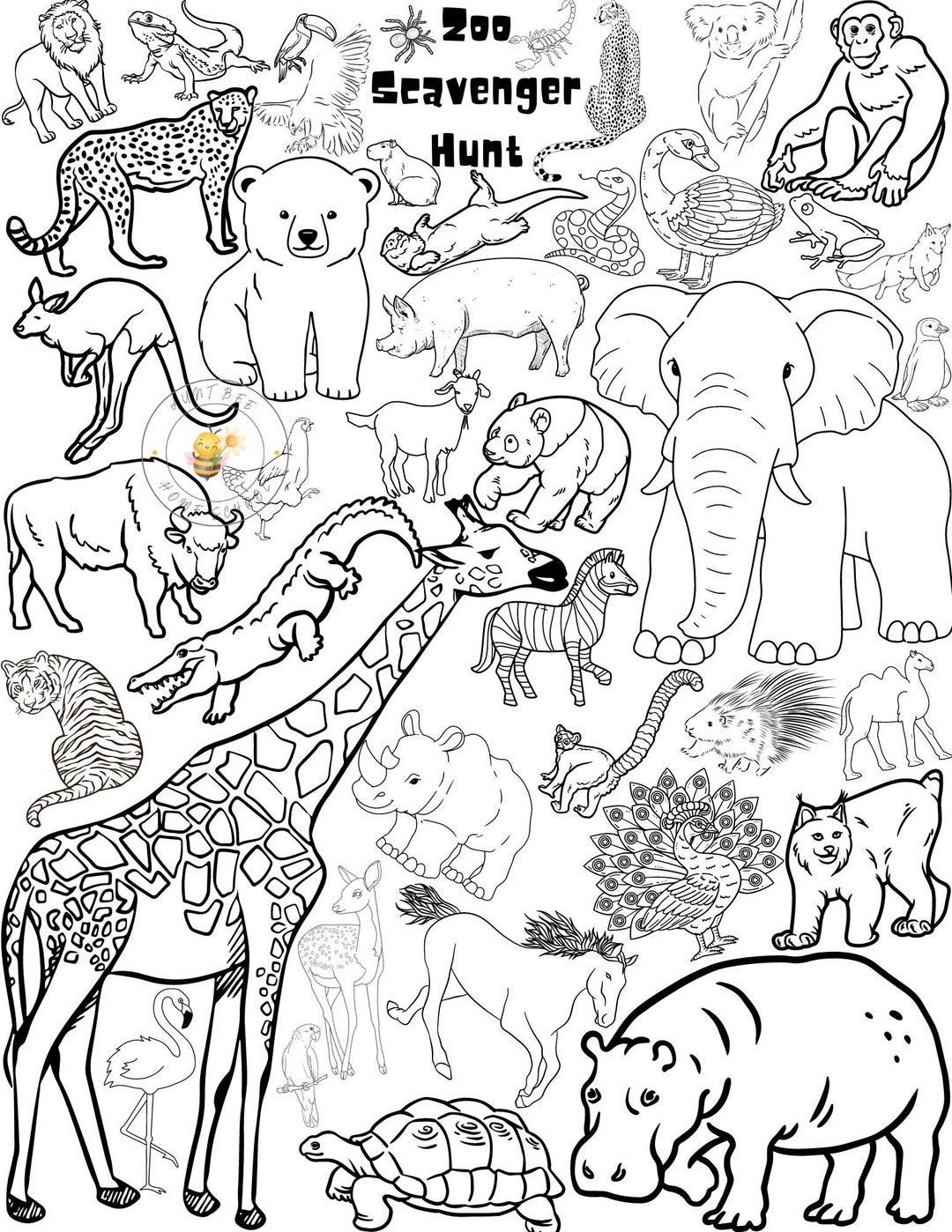 The Zoo Scavenger Hunt/ Coloring Page - Etsy