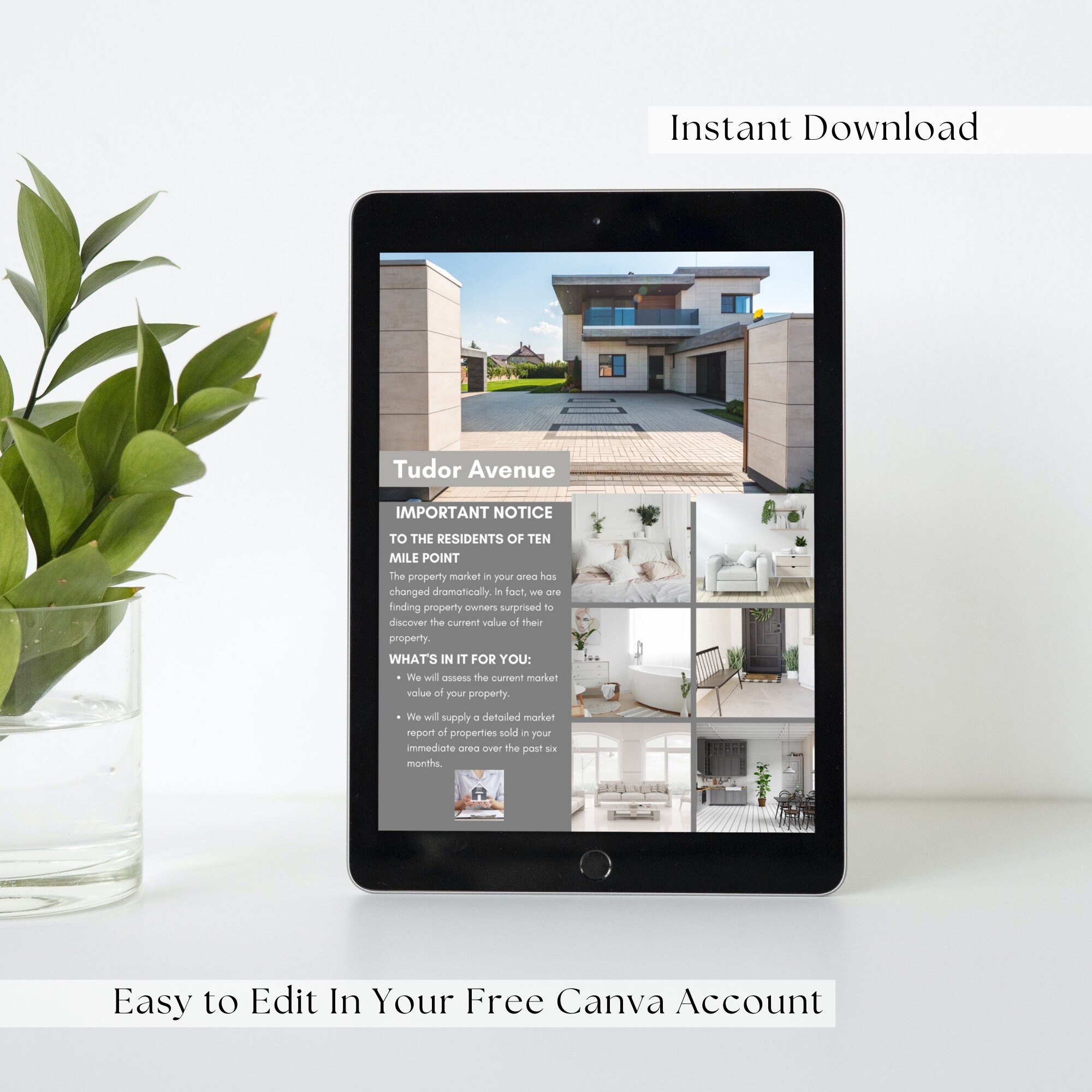 Editable Real Estate Introduction Flyer, Printable Real Estate Agent ...
