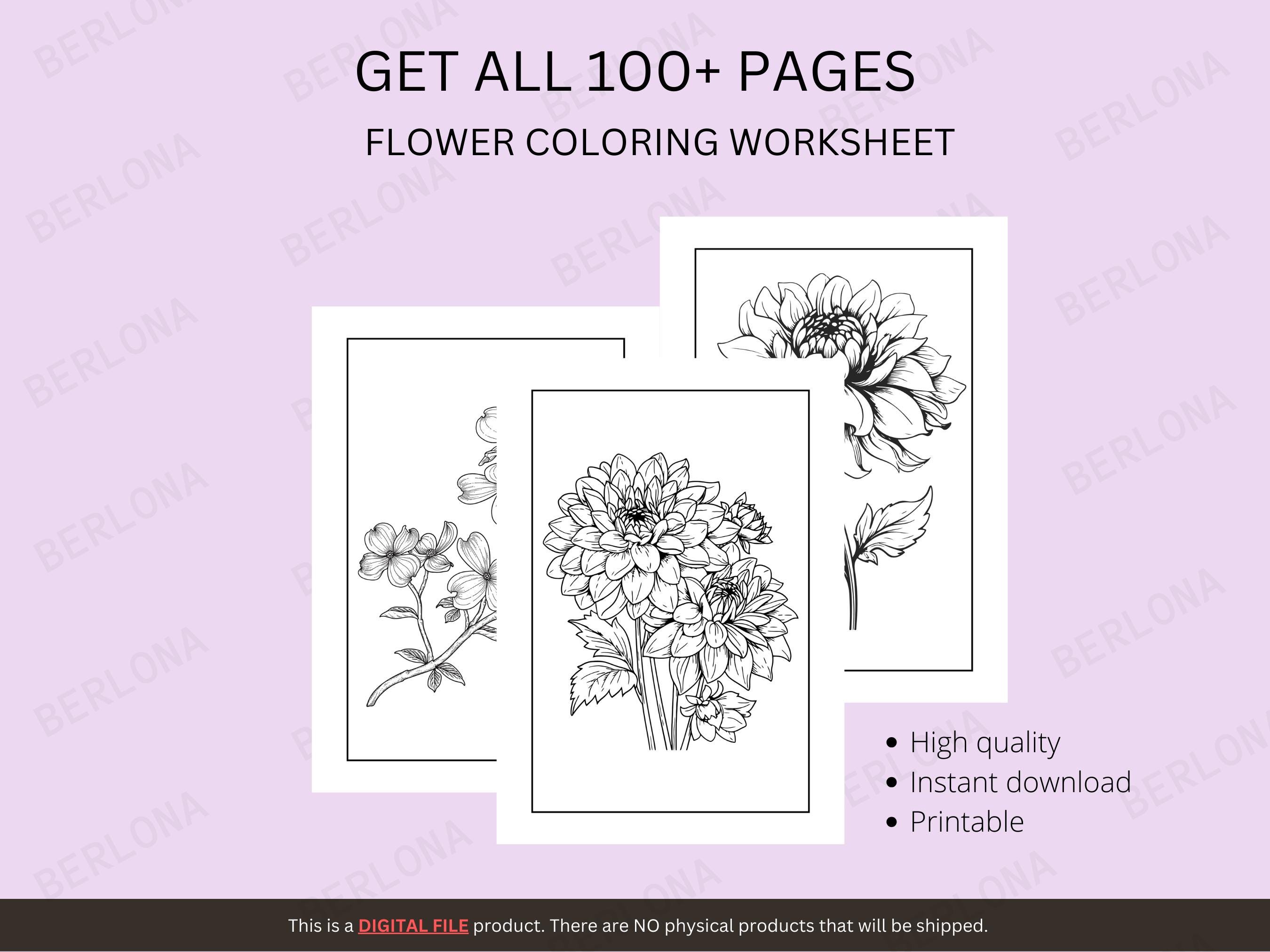 Flower Coloring Sheets, Flowers Coloring Activity Worksheets, Printable ...