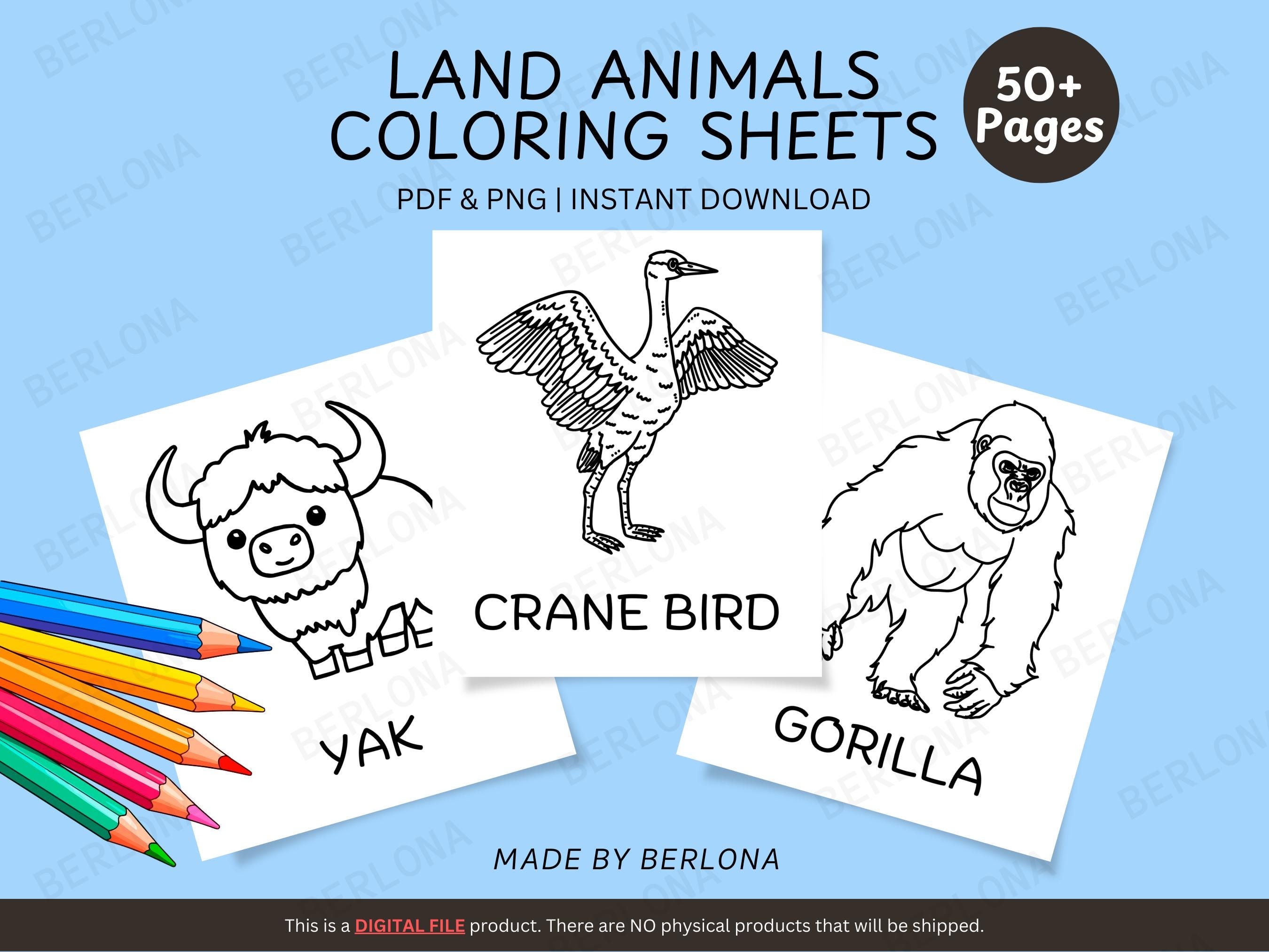 Land Animals Coloring Sheets, Childrens Coloring Worksheet, Printable ...