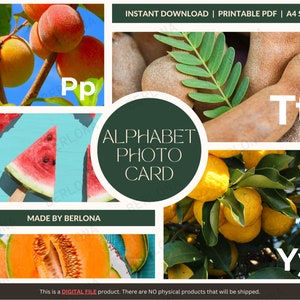 Printable Alphabet Photo Cards, Digital Download Fruity Learning Cards ...