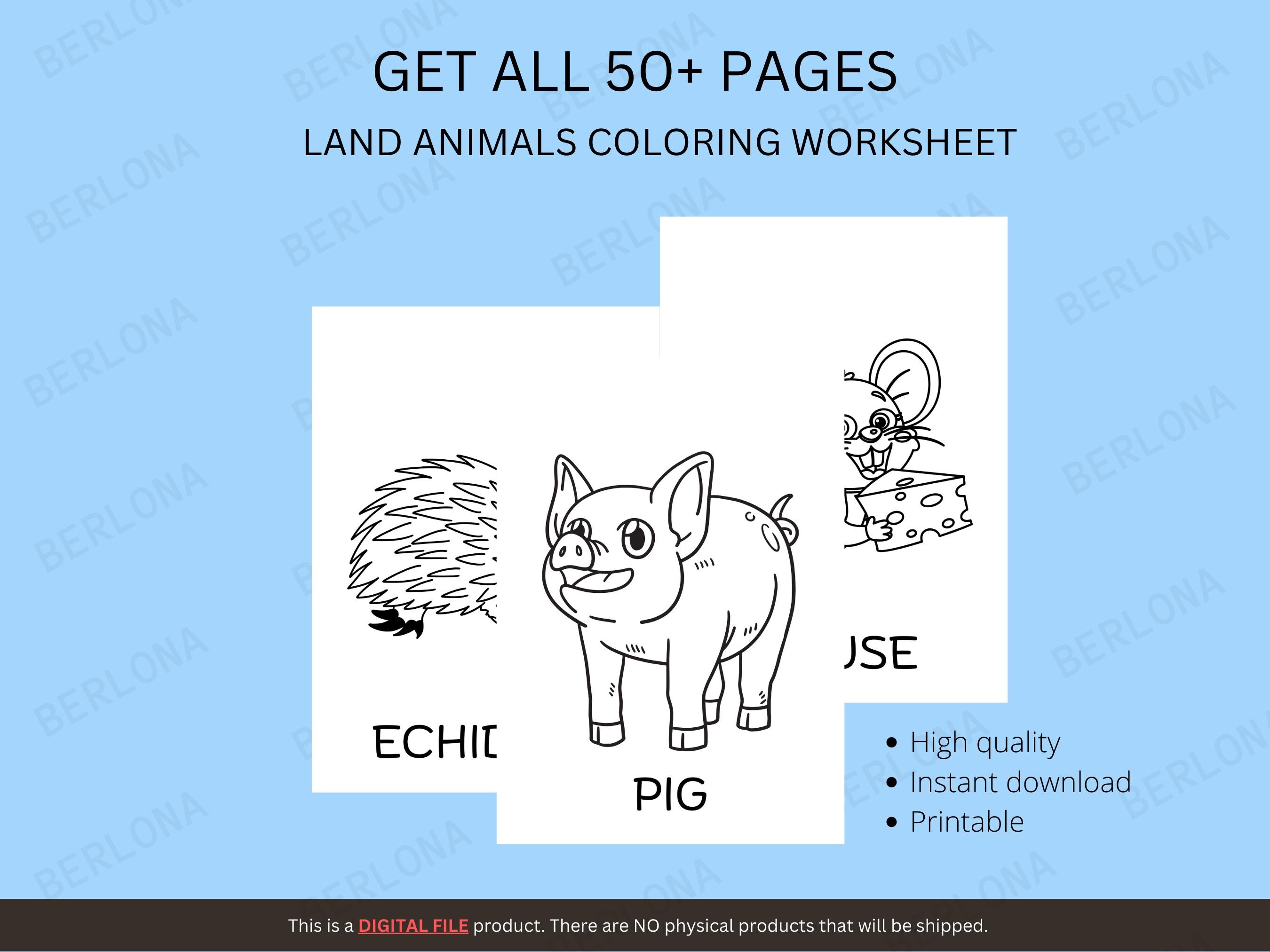 Land Animals Coloring Sheets, Childrens Coloring Worksheet, Printable ...