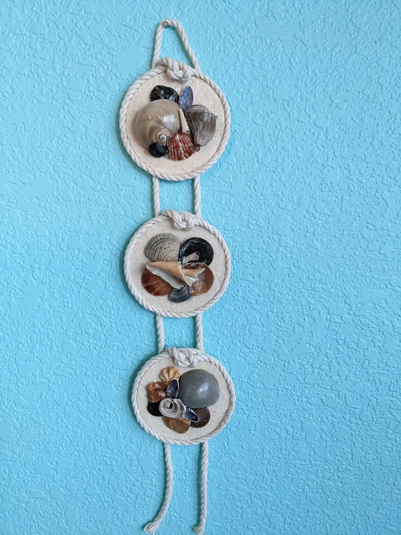 Shelly Sand Wall Art - Etsy