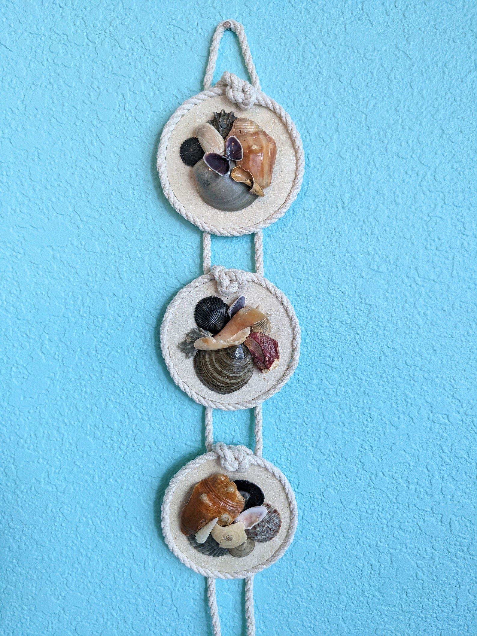 Shelly Sand Wall Art - Etsy