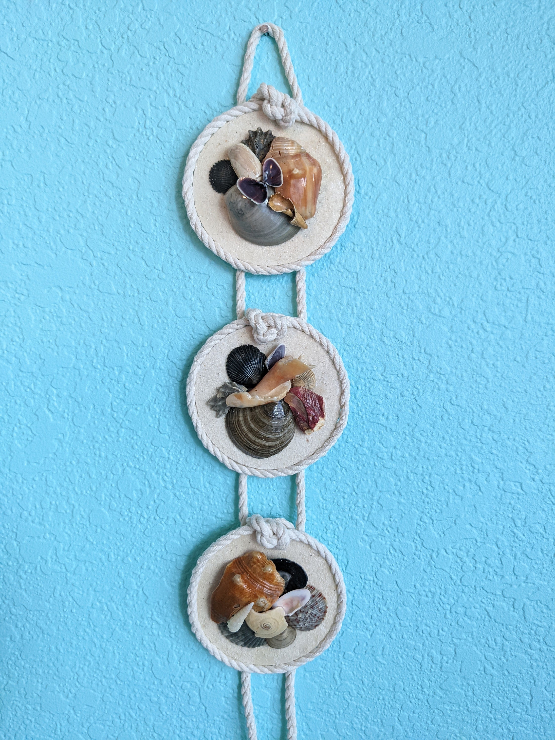 Shelly Sand Wall Art - Etsy