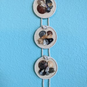 Shelly Sand Wall Art - Etsy