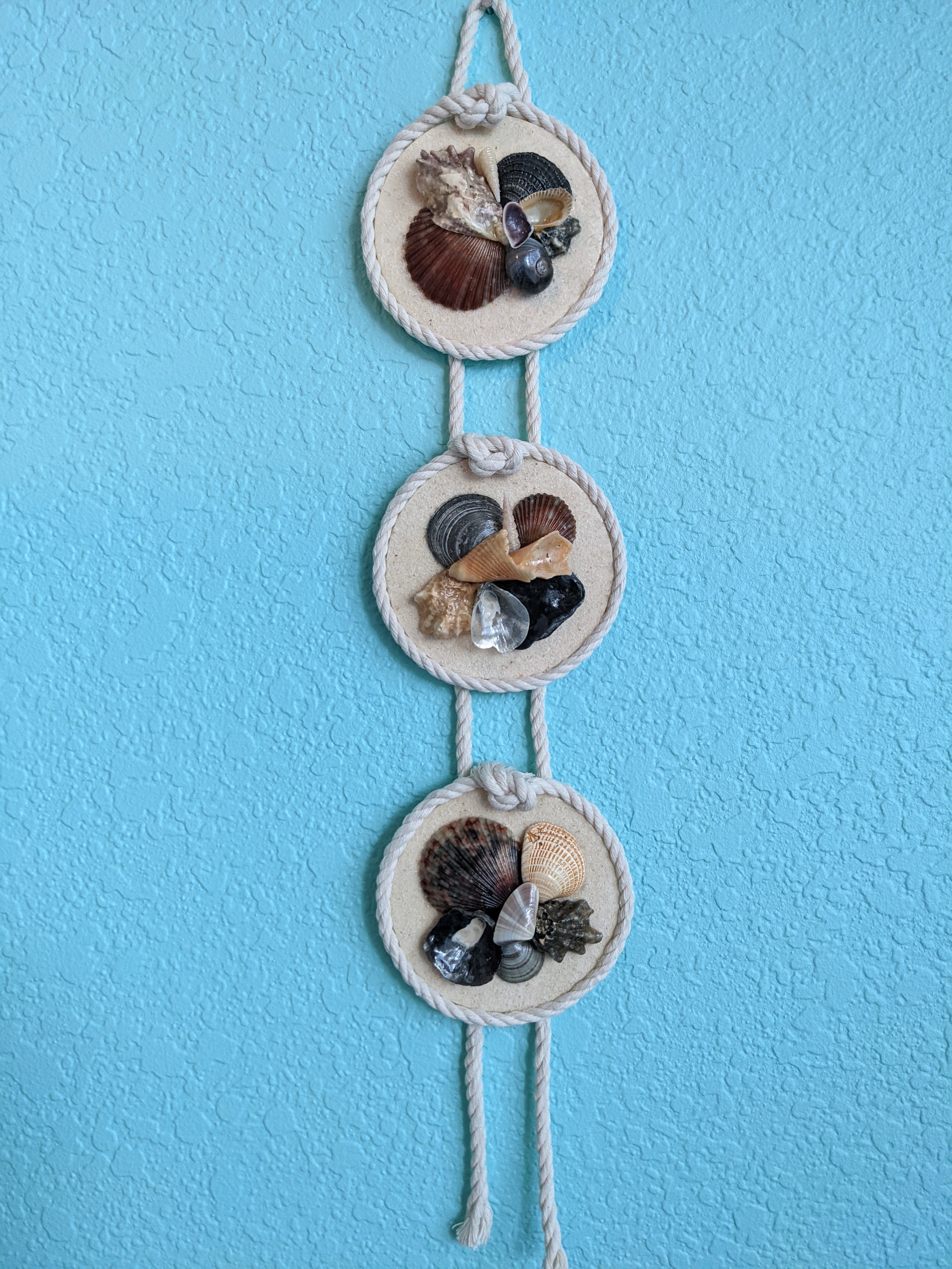 Shelly Sand Wall Art - Etsy