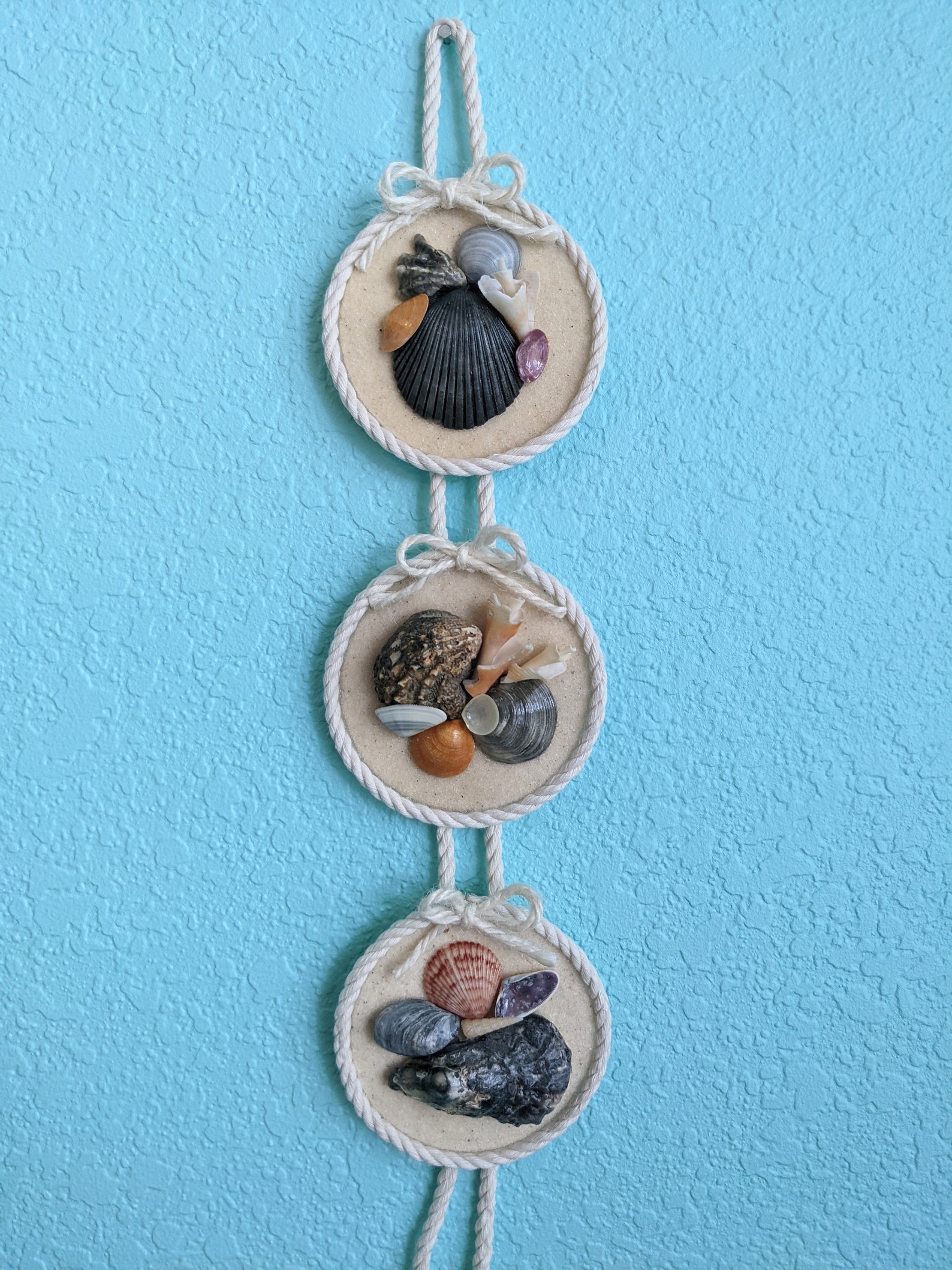 Shelly Sand Wall Art - Etsy