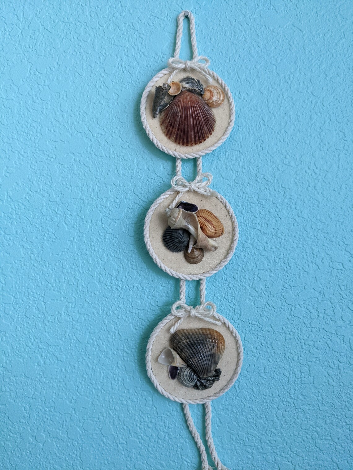 Shelly Sand Wall Art - Etsy