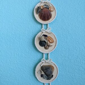 Shelly Sand Wall Art - Etsy