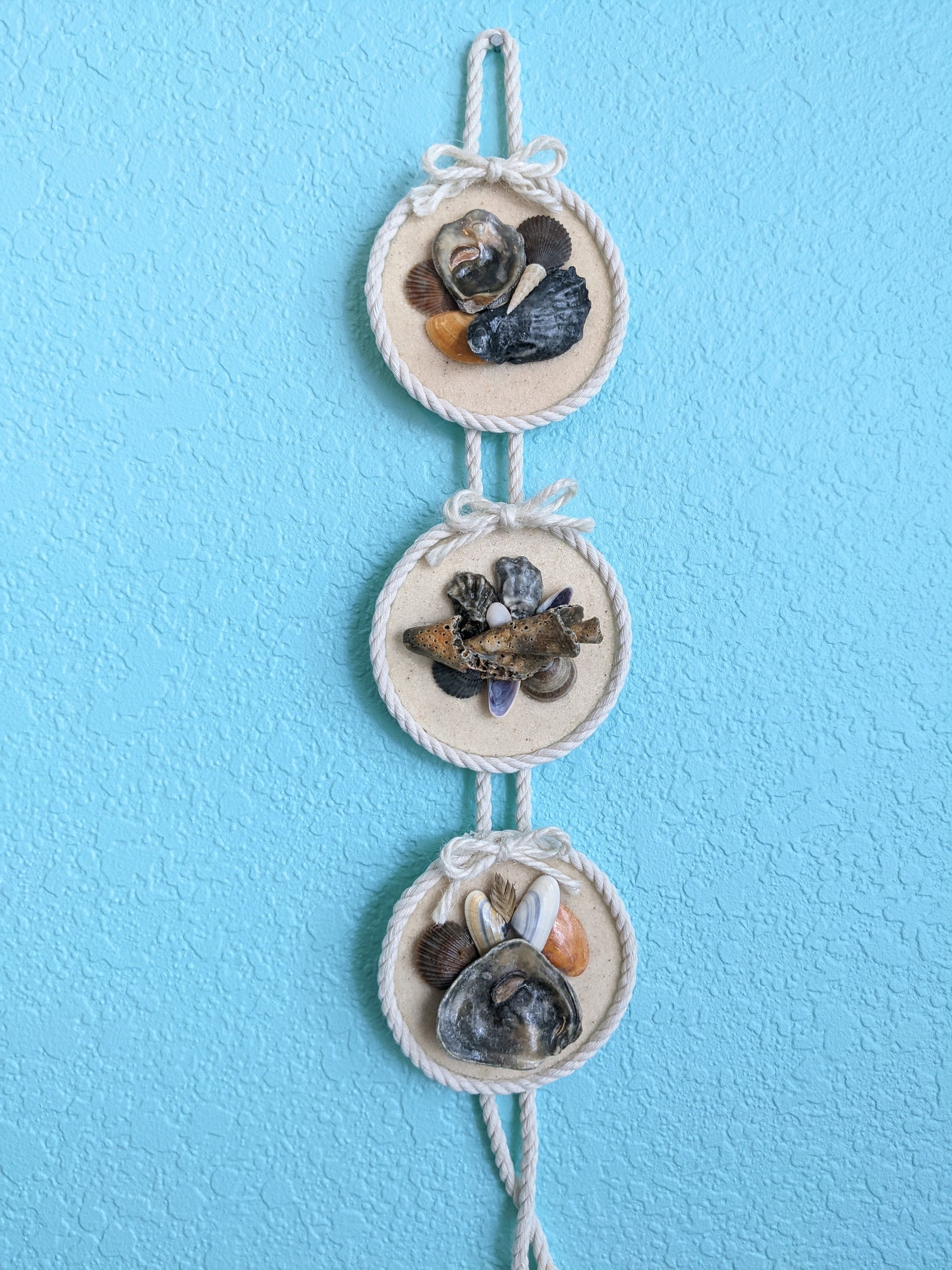 Shelly Sand Wall Art - Etsy