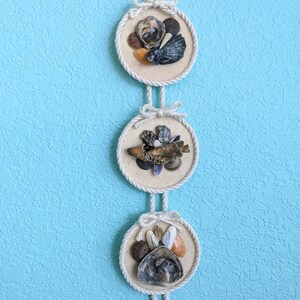 Shelly Sand Wall Art - Etsy