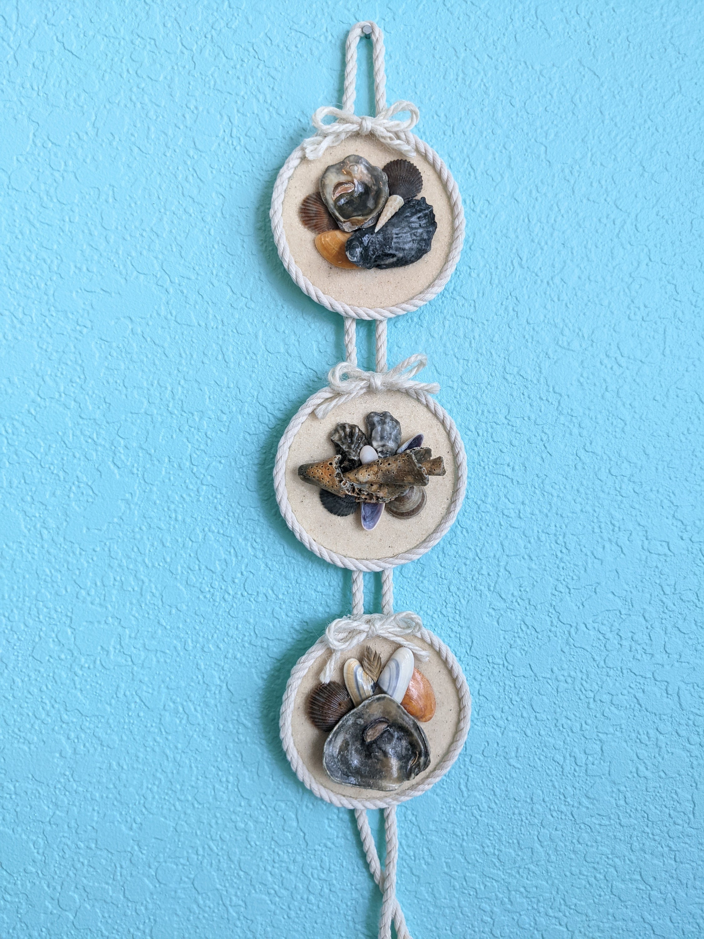 Shelly Sand Wall Art - Etsy