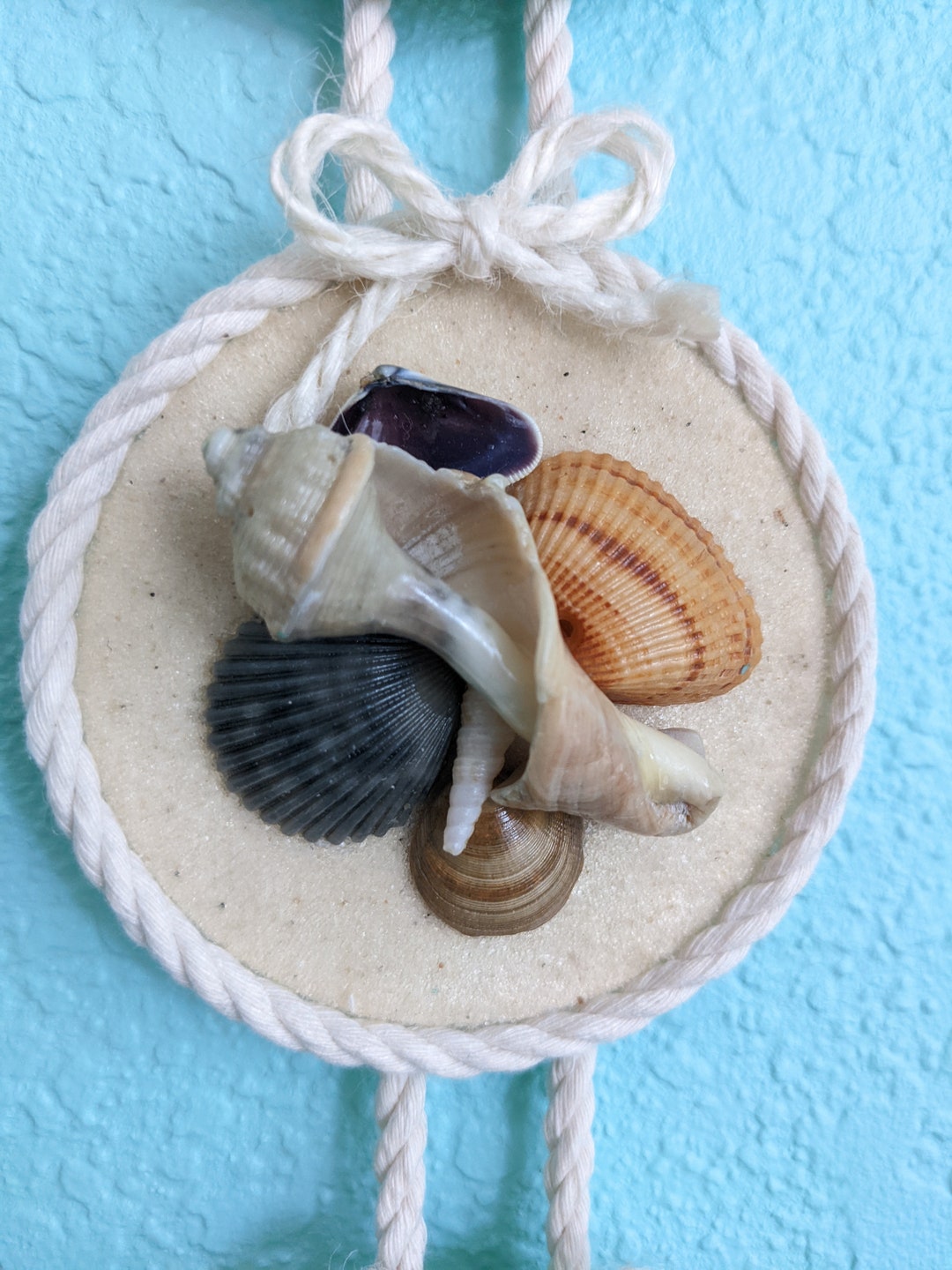 Shelly Sand Wall Art - Etsy