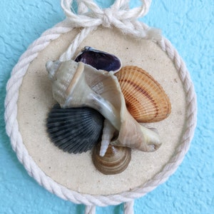 Shelly Sand Wall Art - Etsy