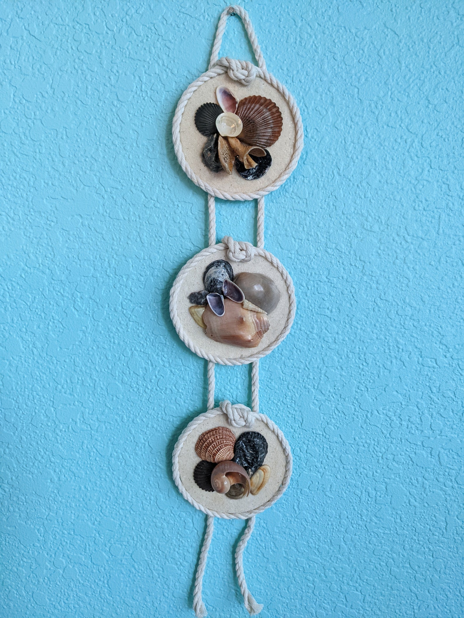 Shelly Sand Wall Art - Etsy