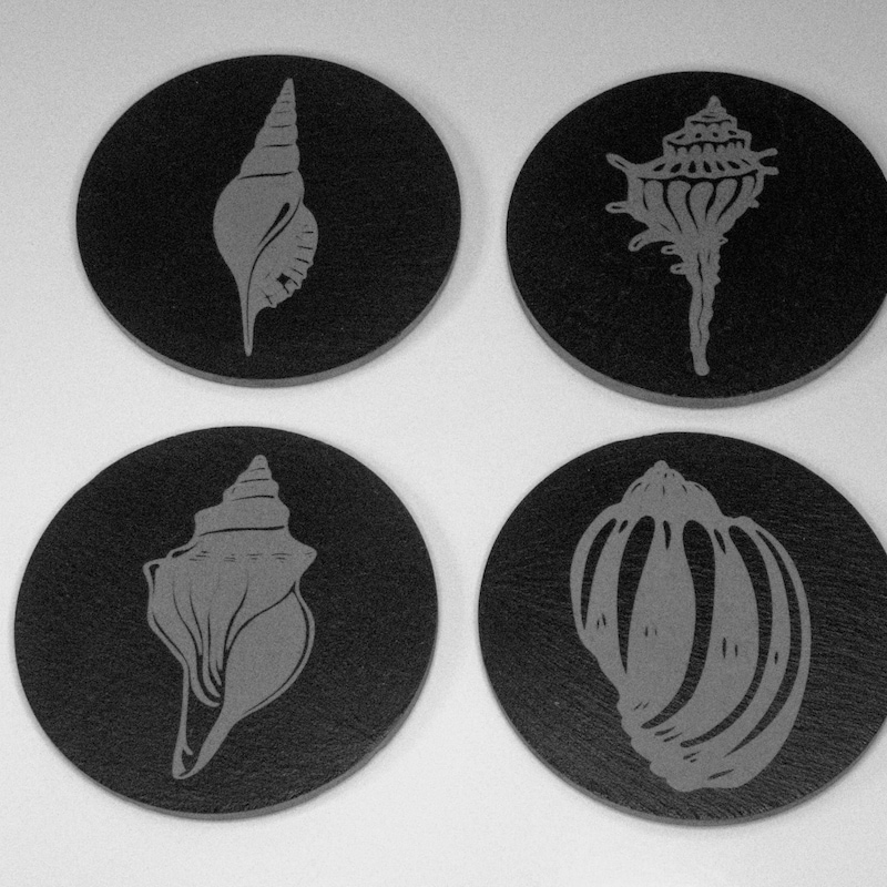 Seashell Coasters - Etsy