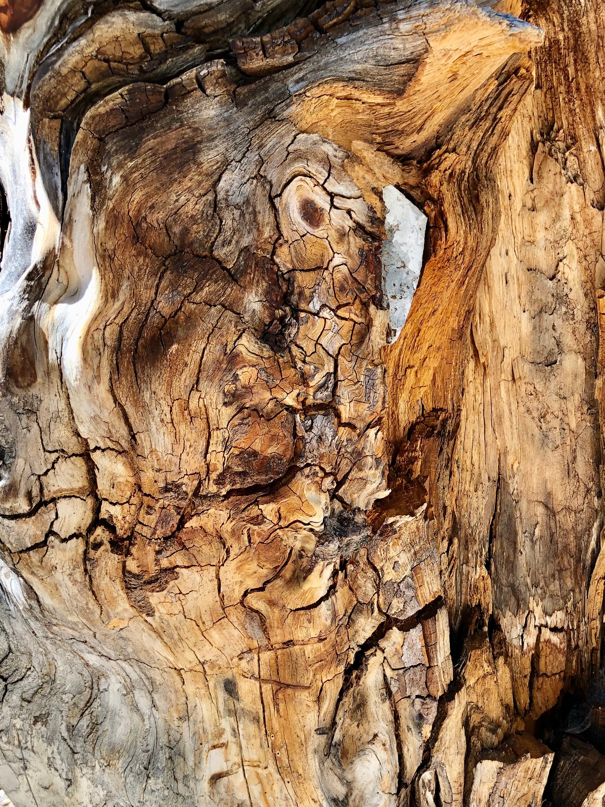 Wood Textures Close Ups, Desert Mountains Digital Prints, Commercial ...
