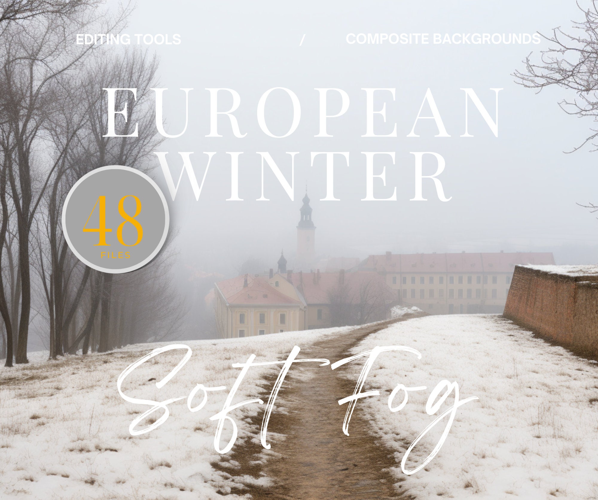 Winter Digital Tiara Diamond Digital Headpieces Icy Crowns - Etsy