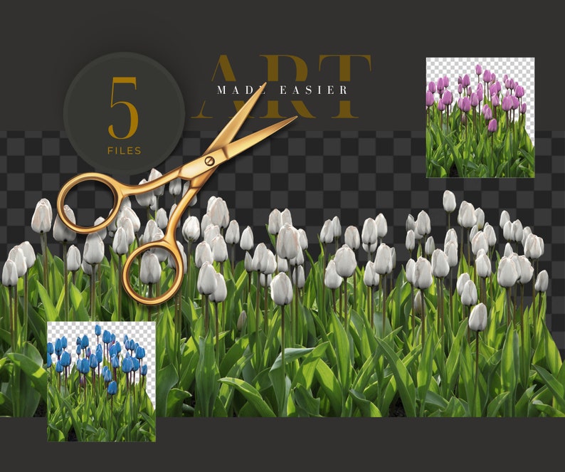 Flower PNG Overlays Floral PNG Digital Tulip Flower Cutout Real Flower ...