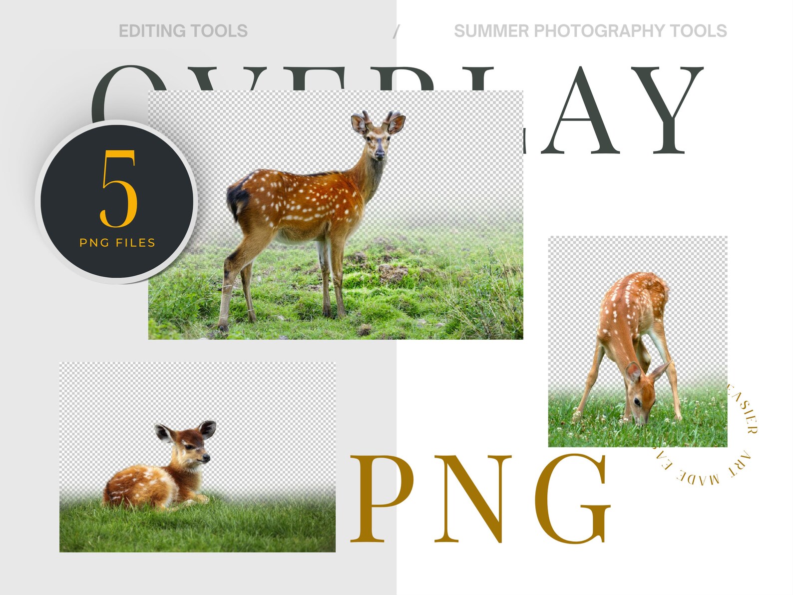Deer Png Overlays Background Replacement Deer Overlay PNG Animal Blend ...