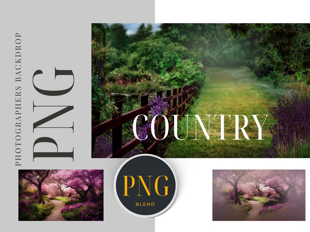 Spring Digital Background Spring Pathway Backdrop Flower - Etsy