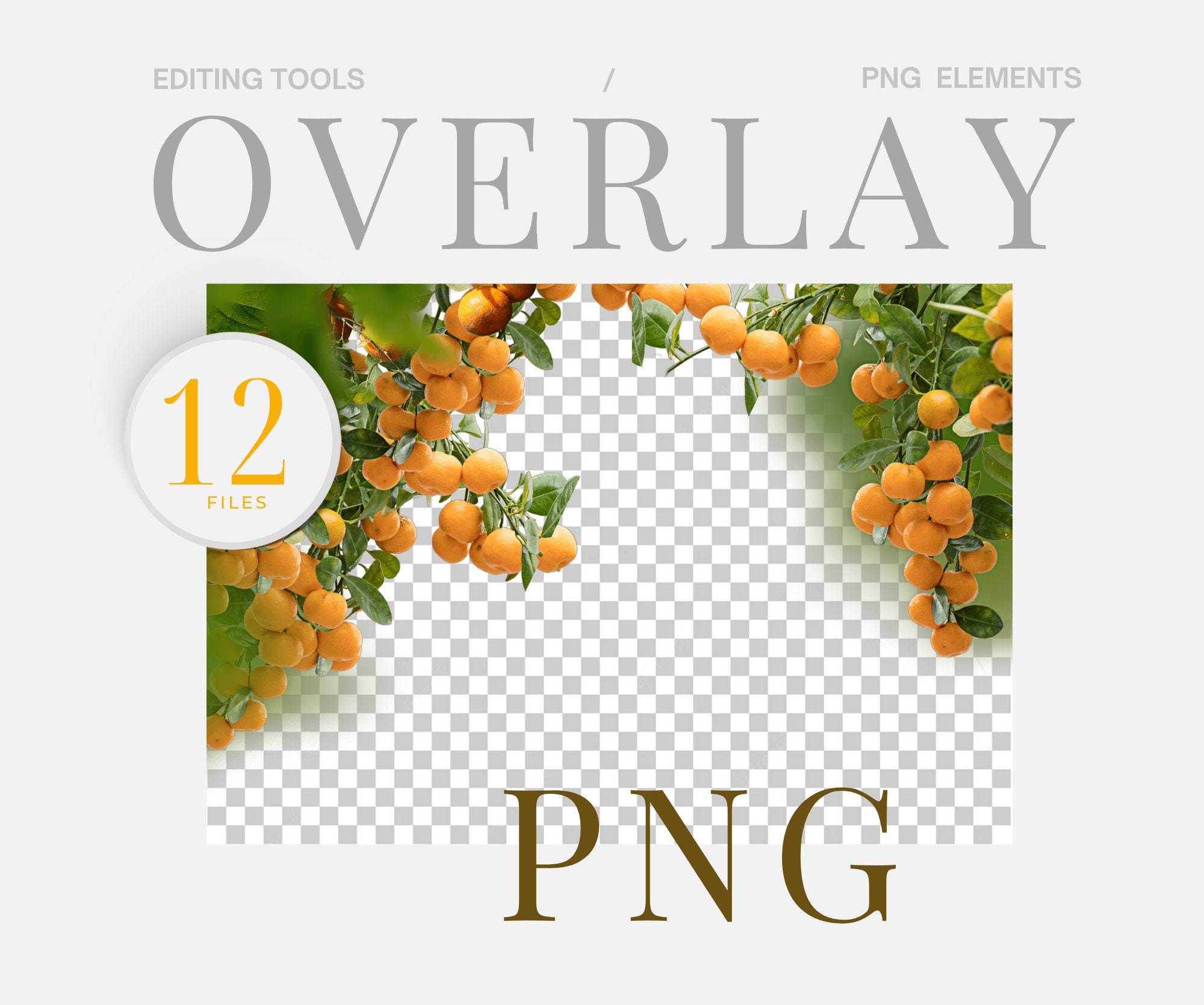 Garden Orange Orchard Digital Orange Tree Background Orange Garden ...