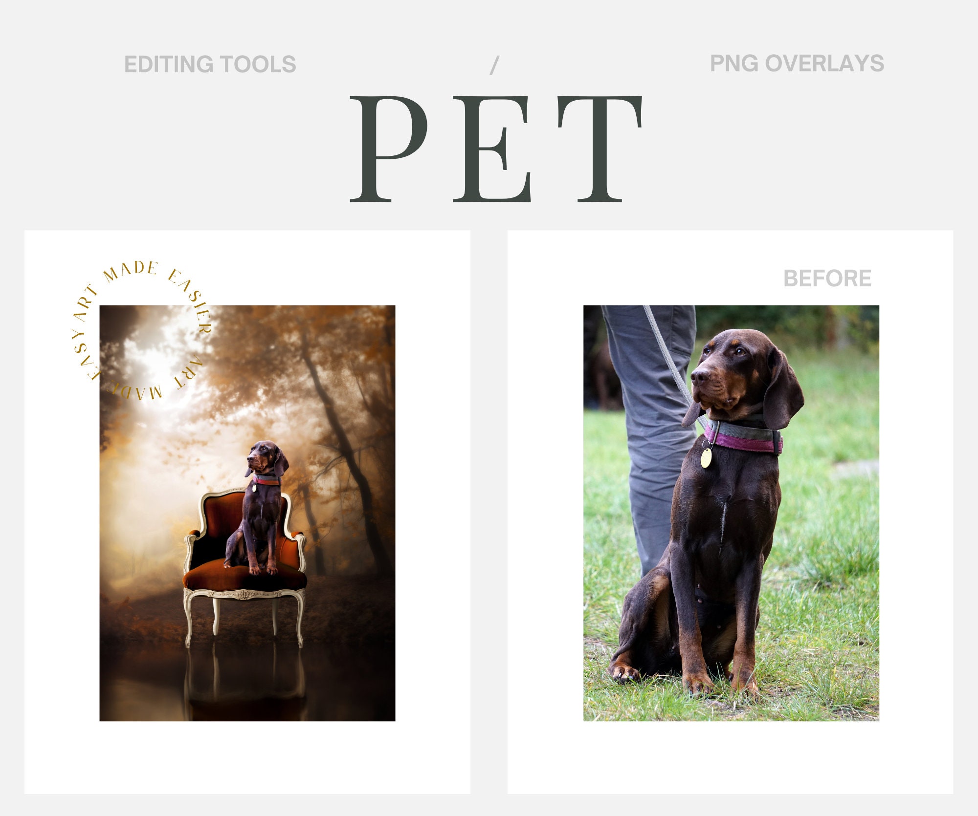Pet Digital Backdrop Dog Photoshop Animal Photography Pet Digital ...