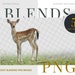 Deer Png Overlays Background Replacement Deer Overlay PNG Animal Blend ...