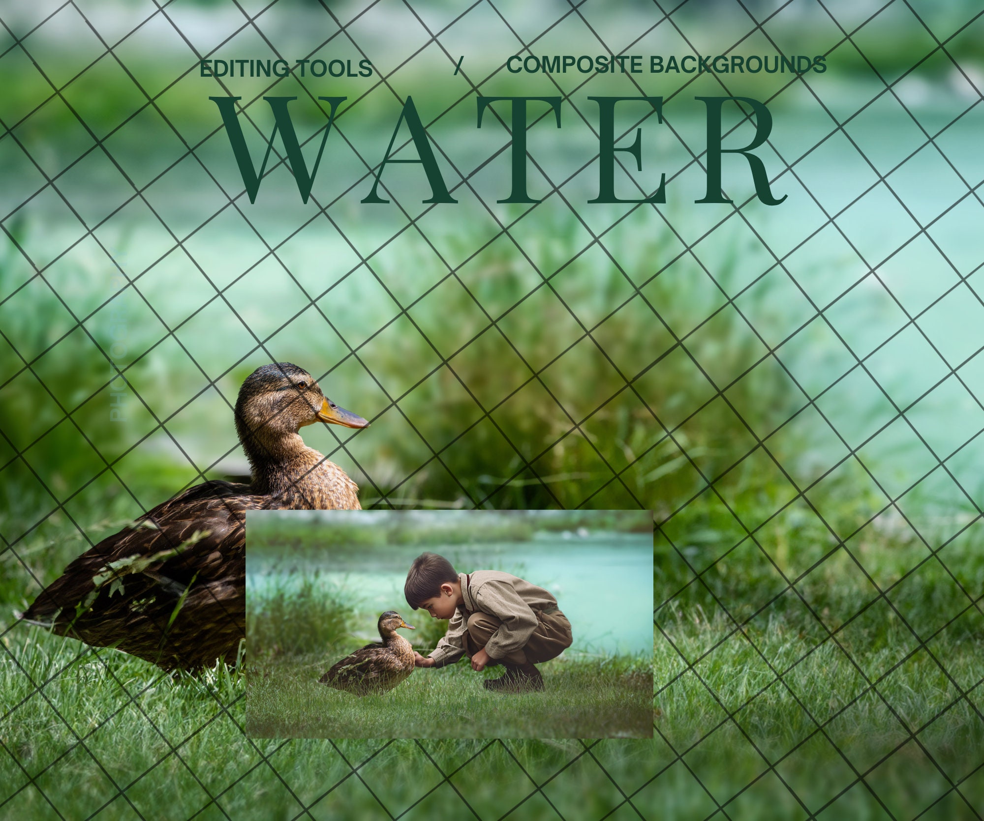 Composite Grass Png Overlay, Duck Lake Backdrop, Wildlife Water ...