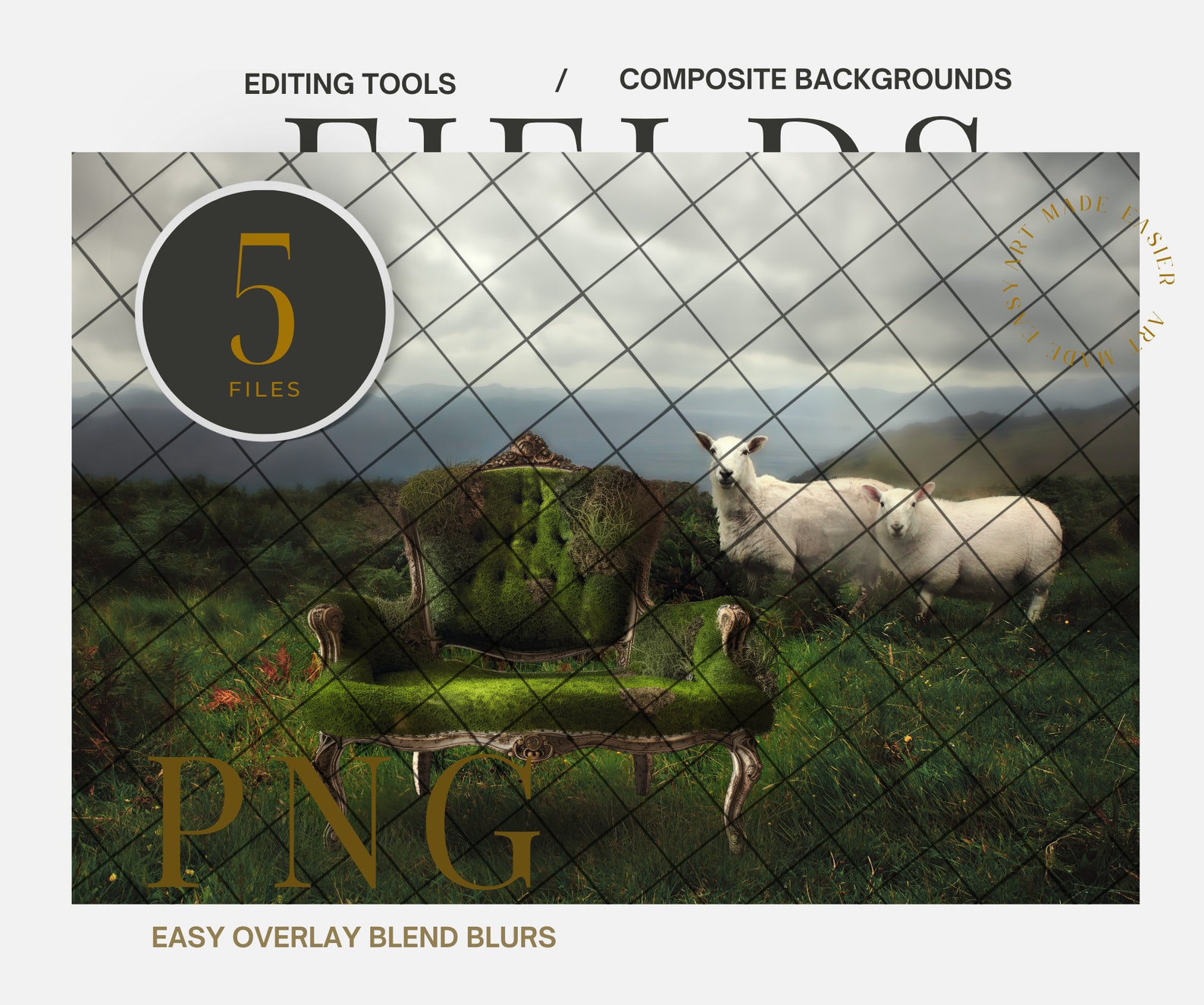 White Lilac Flower Pathway White Flower Field Background White Poppy ...