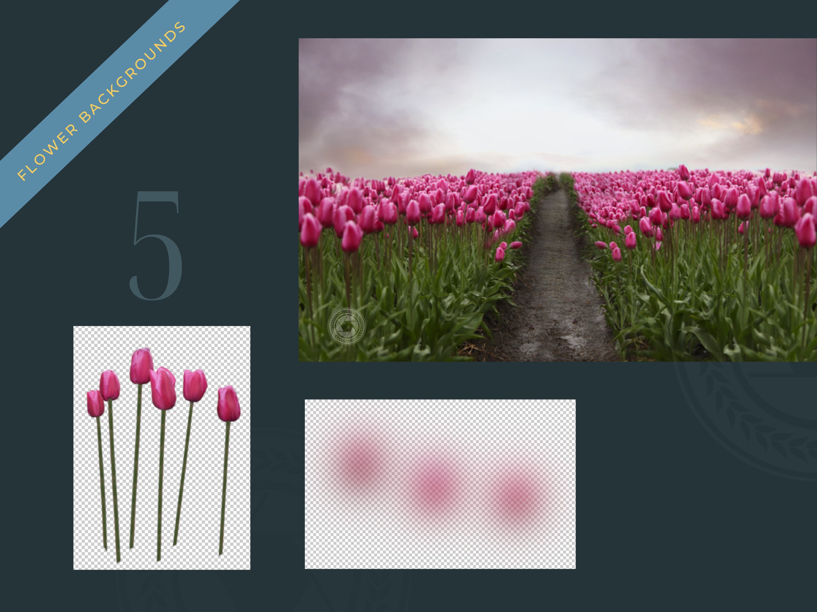 Flower PNG Overlays Floral Pathway Digital Backdrop Spring Summer ...