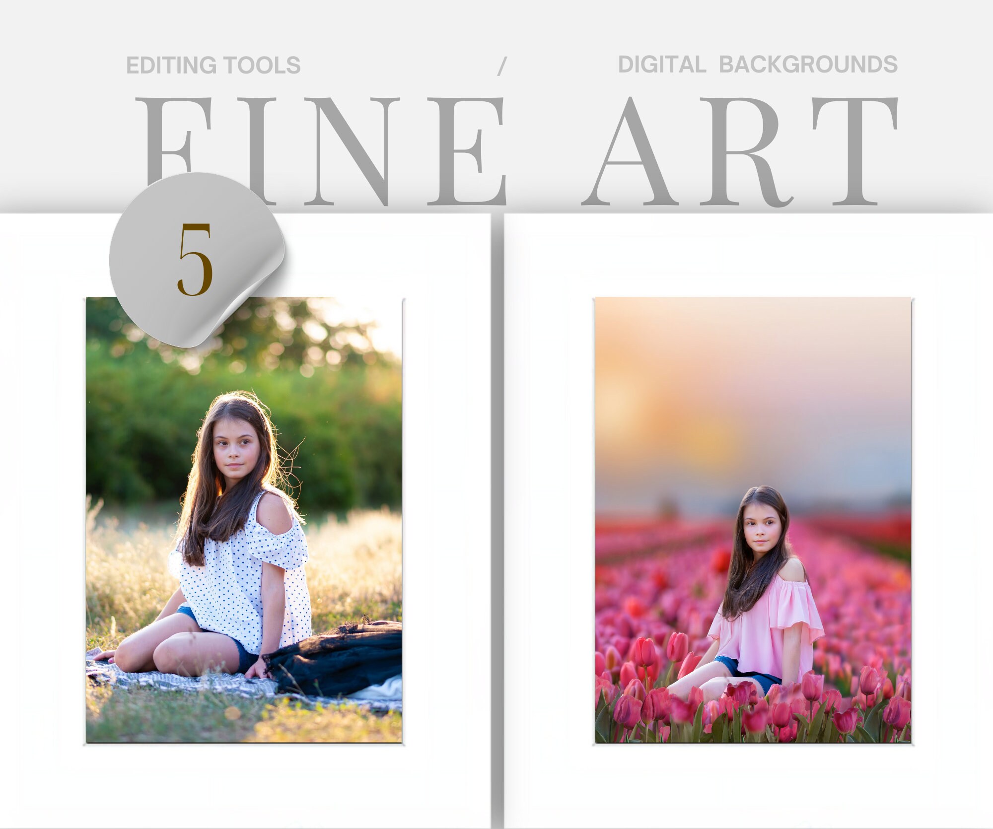 Flower Field Png Tulip Field Overlay Pink Flower Clipart Flower ...