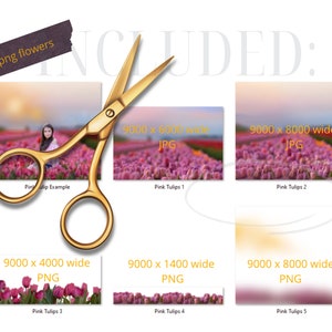 Flower Field Png Tulip Field Overlay Pink Flower Clipart Flower ...
