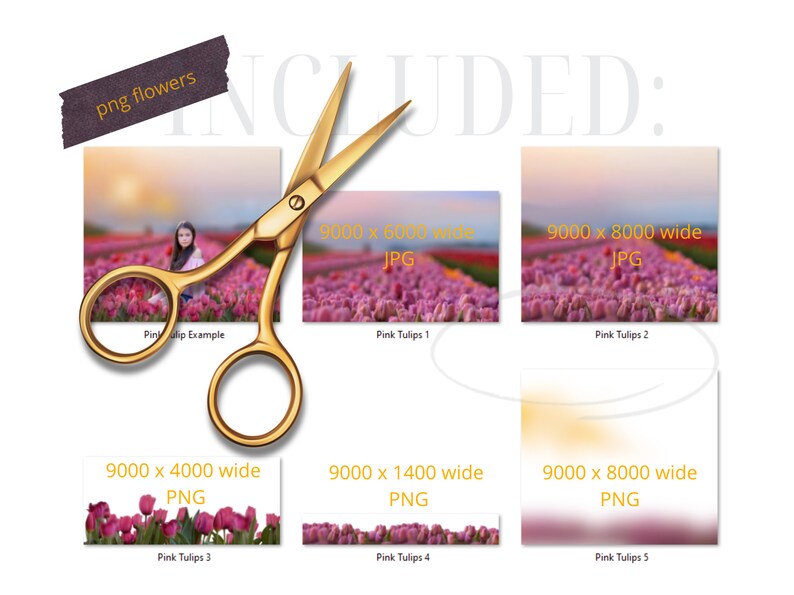 Flower Field Png Tulip Field Overlay Pink Flower Clipart Flower ...