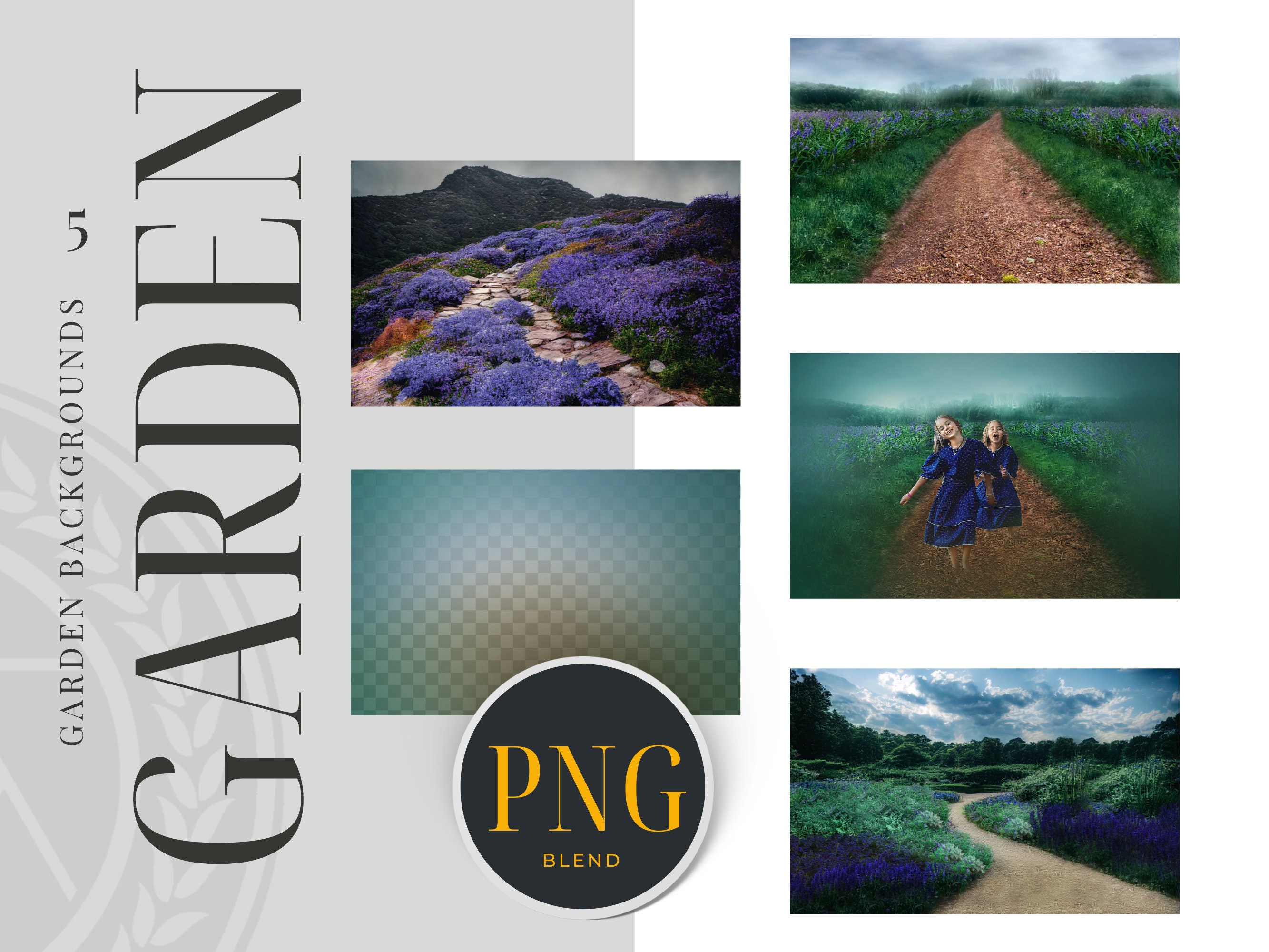 Blue Fields Photography Background Portrait Sky Blue Flower Path ...