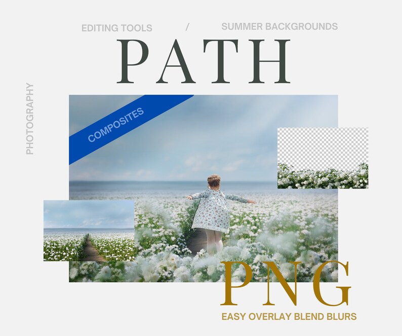 White Flower Field Overlay Transparent Flower PNG Transparent Flower ...