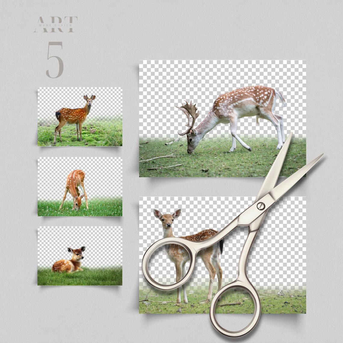 Deer Png Overlays Background Replacement Deer Overlay PNG Animal Blend ...