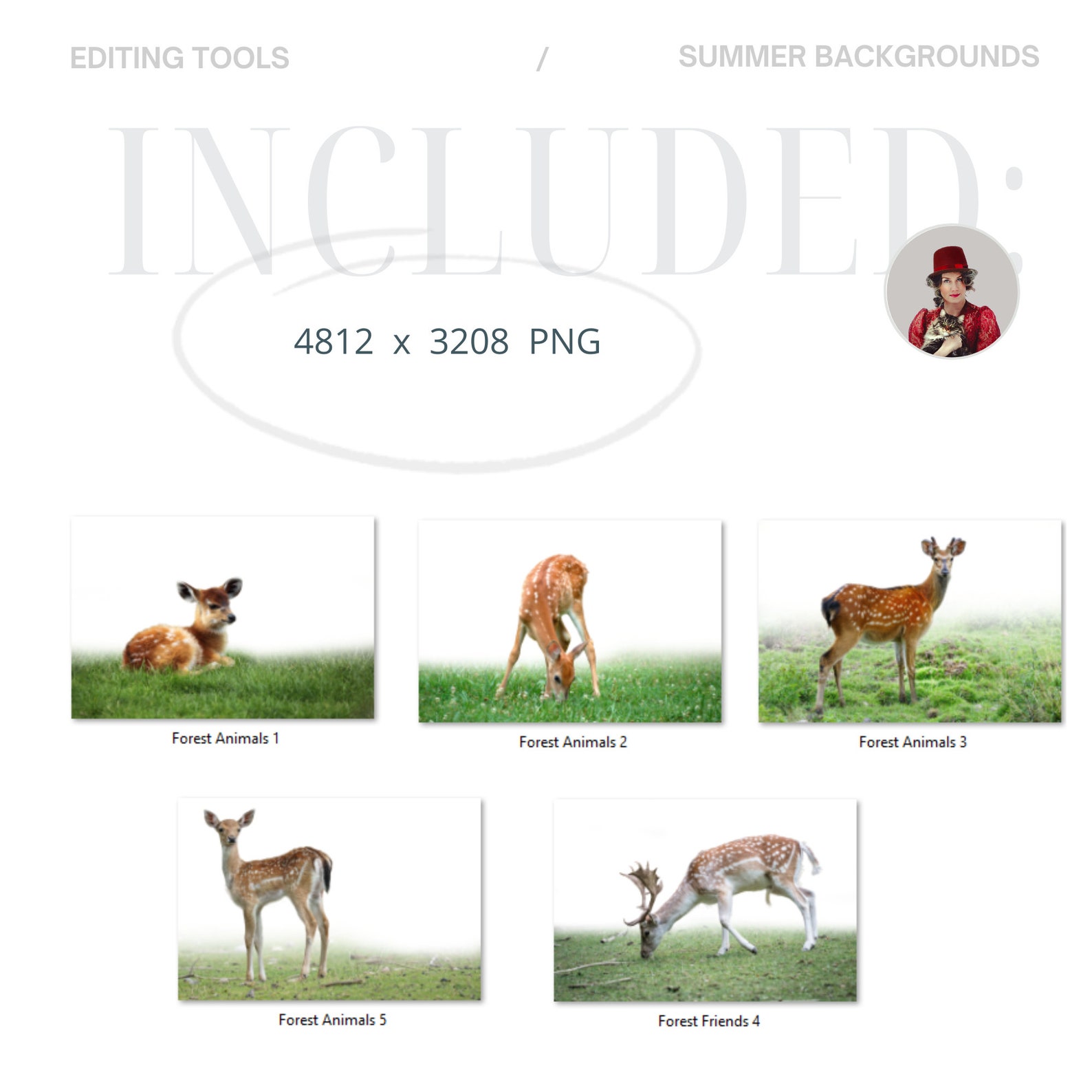 Deer Png Overlays Background Replacement Deer Overlay PNG Animal Blend ...