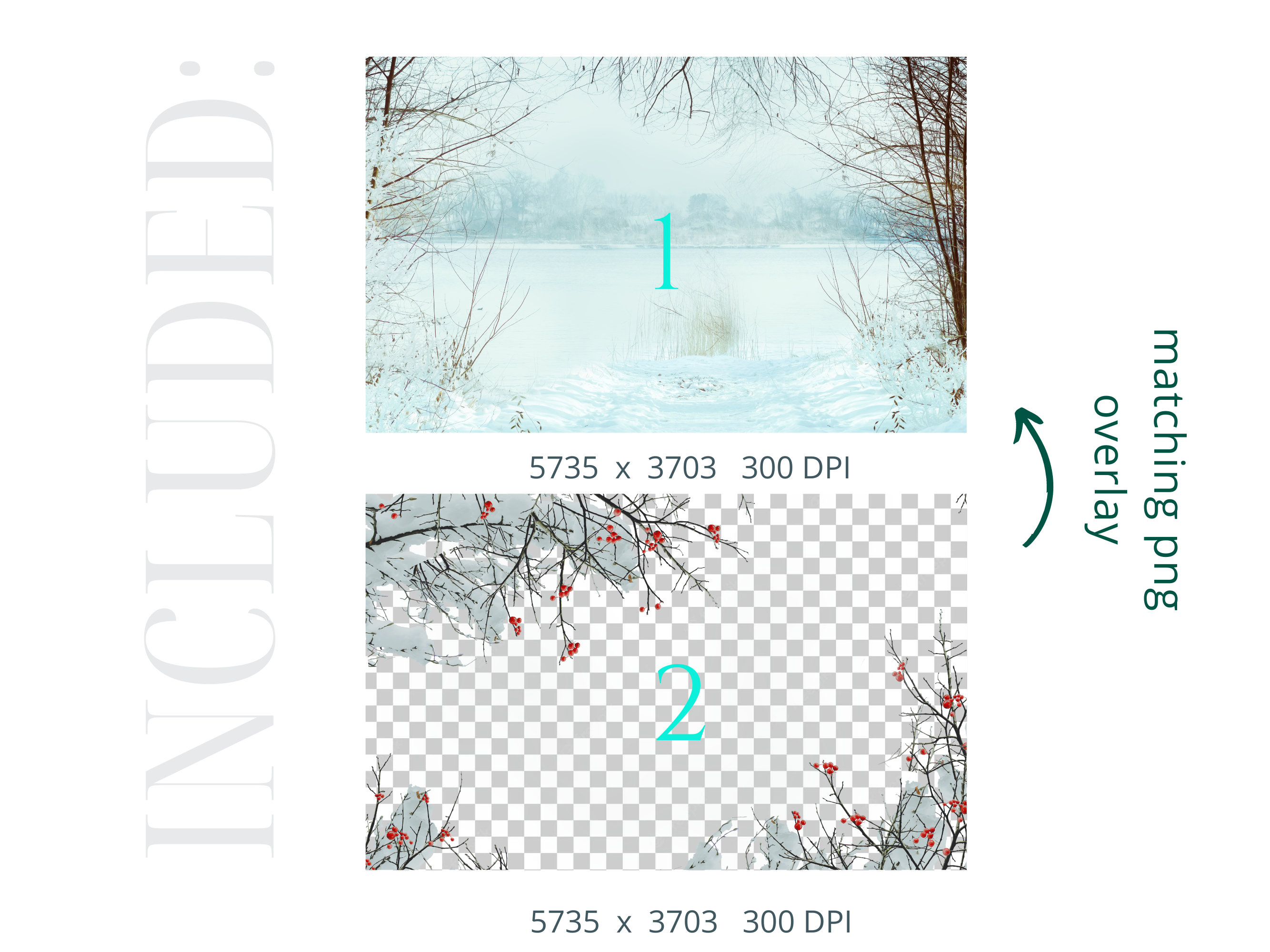 Winter Berry PNG Overlay Transparent PNG Winter Bush Overlay Branch Png ...