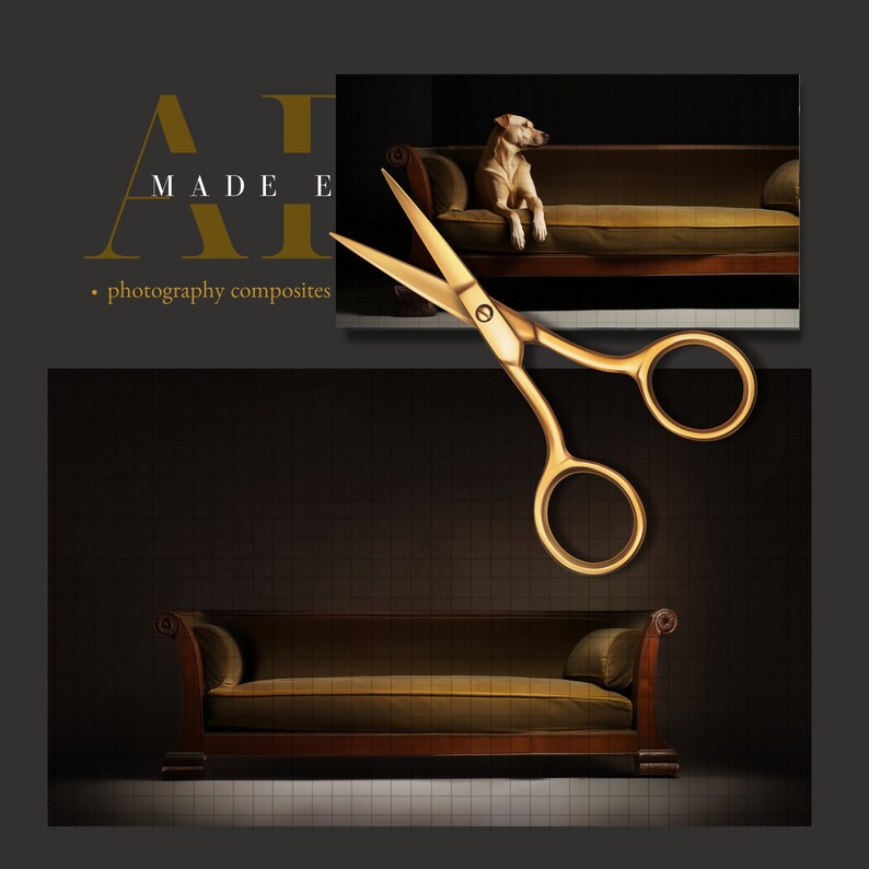 Sofa Digital Backdrop Animal Photoshop Dog Studio Backdrop Pet ...