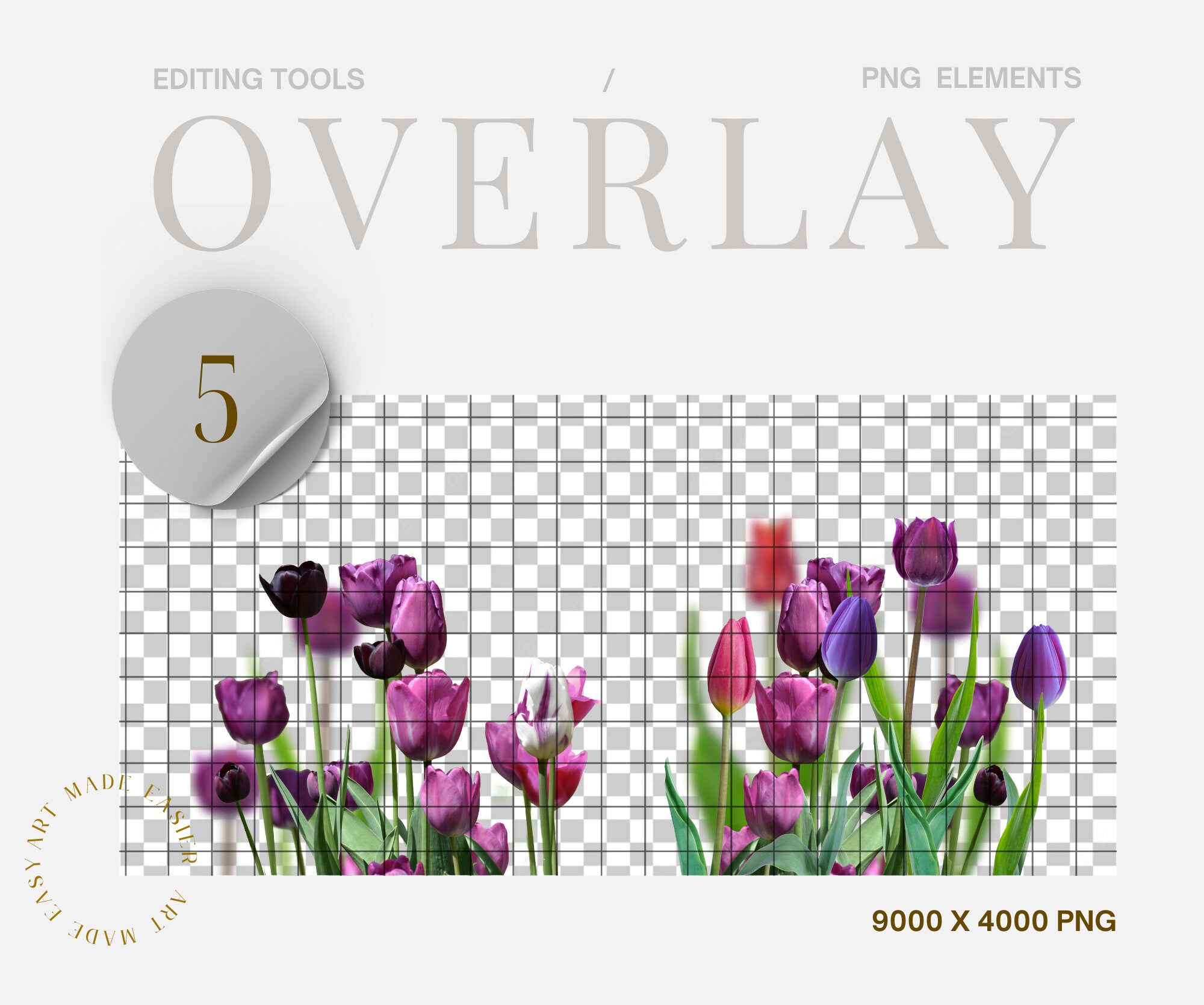 Tulip Field PNG Overlay, Flower Field Photoshop Composite, Spring ...