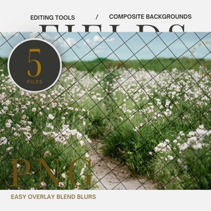 White Lilac Flower Pathway White Flower Field Background White Poppy ...