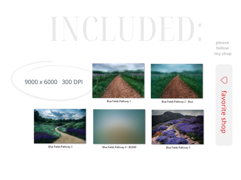 Blue Fields Photography Background Portrait Sky Blue Flower Path ...
