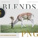 Deer Png Overlays Background Replacement Deer Overlay PNG Animal Blend ...